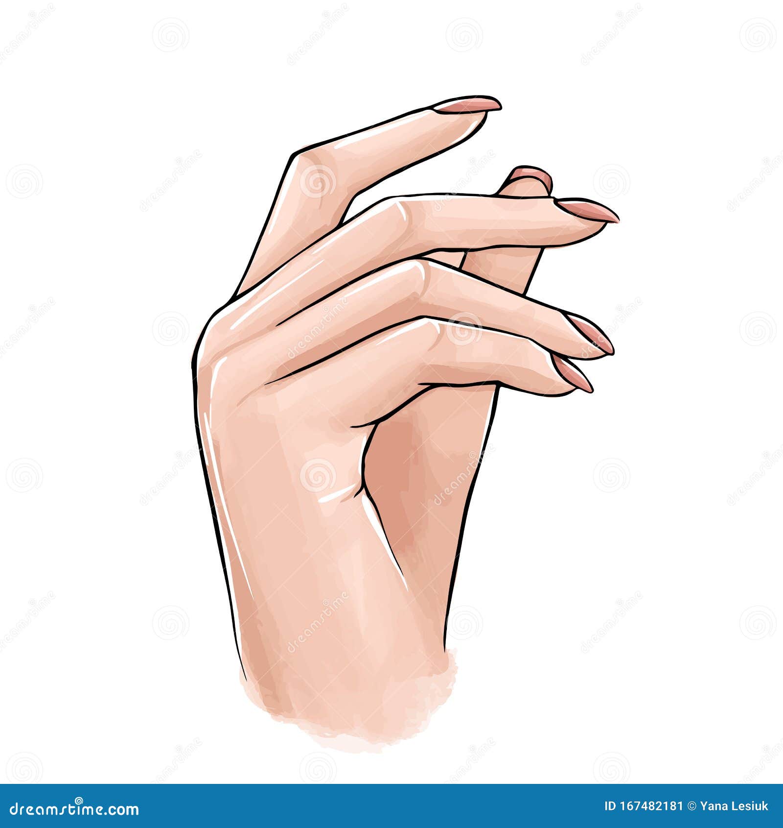 Vector Hermosa Mano Con Esmalte De Uñas Desnudo Ilustración Del Vector