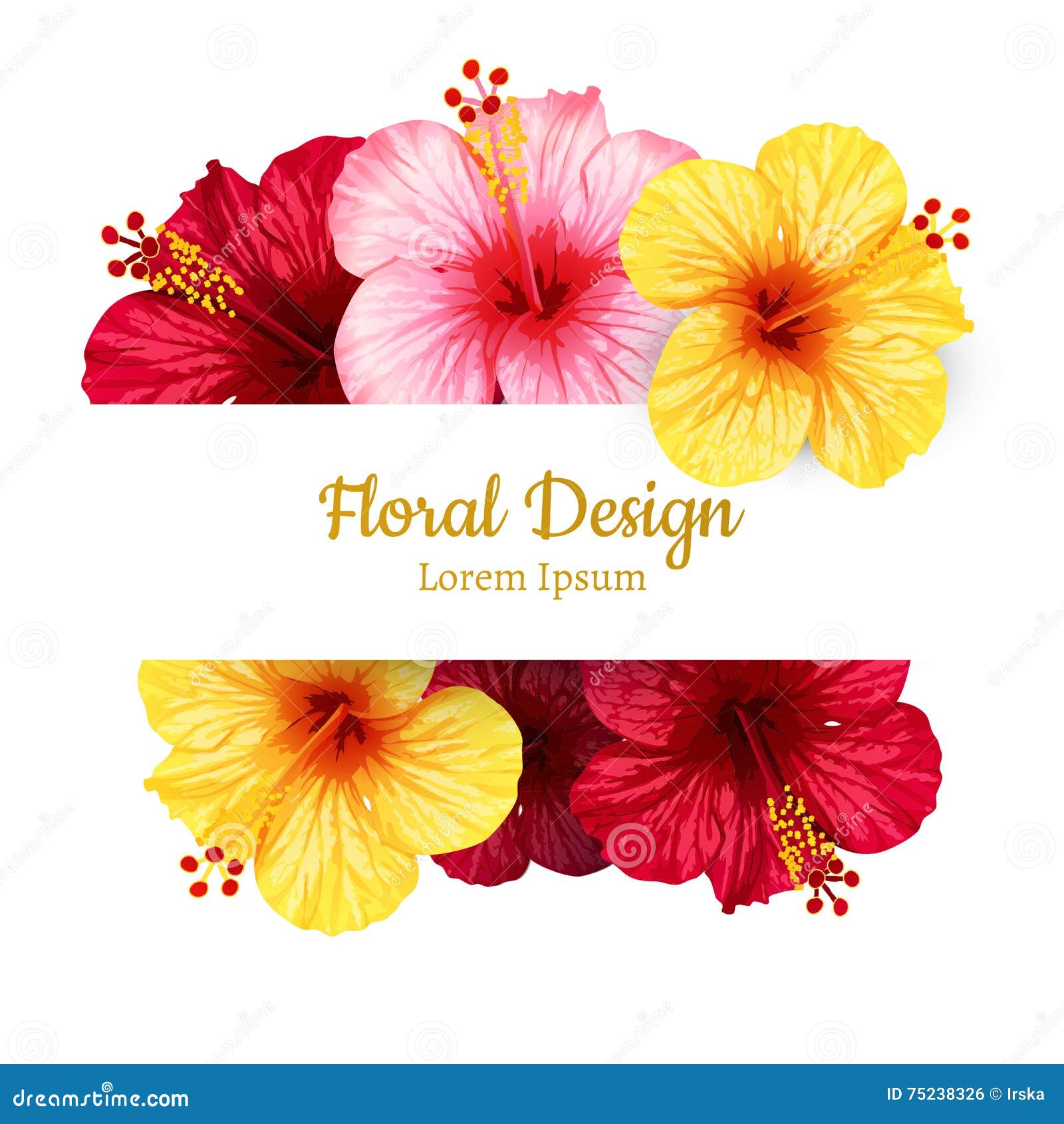 Vector Hibiscus Border | CartoonDealer.com #75808438