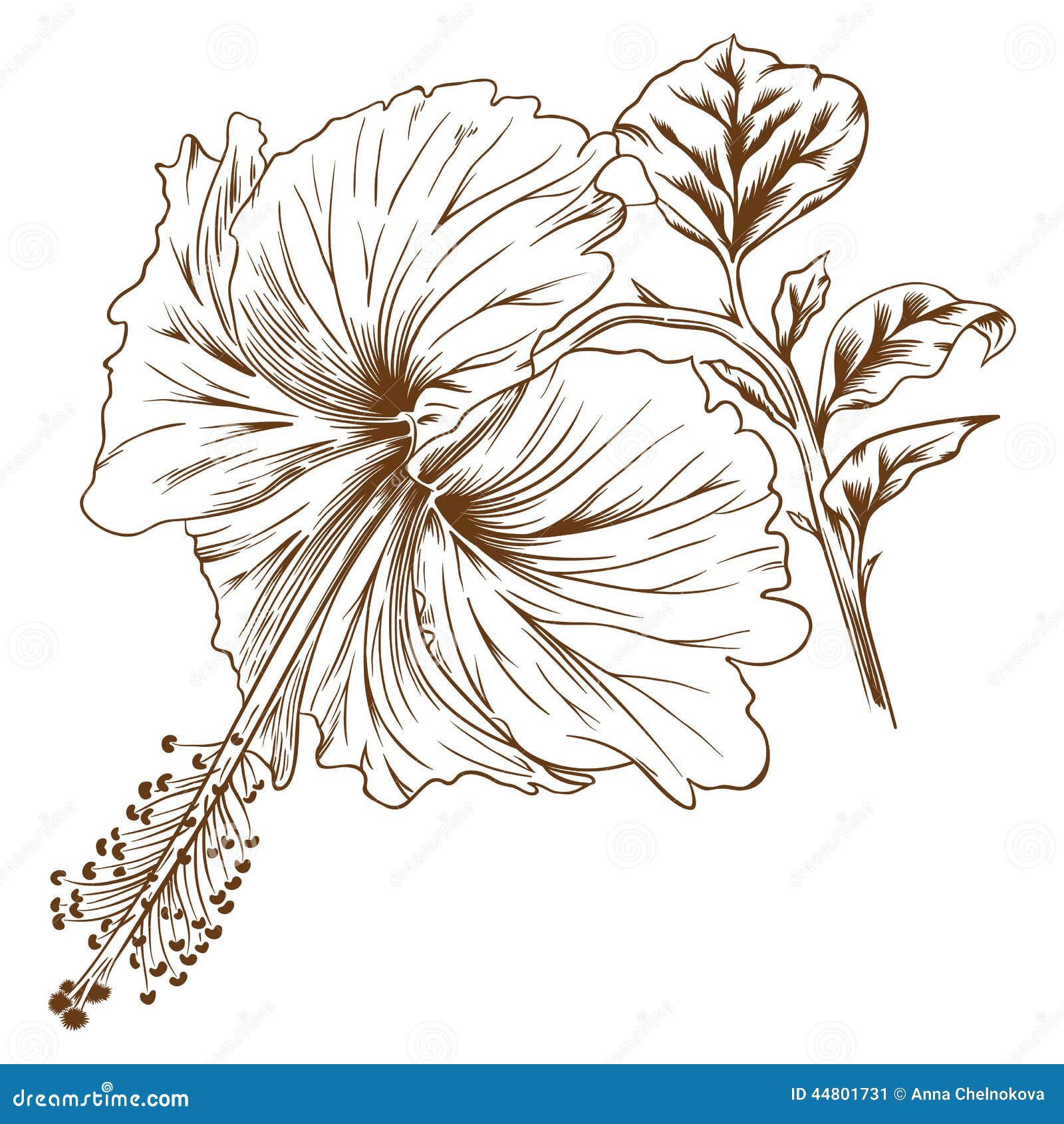 Vector hibiscus. stock vector. Illustration of vector - 44801731