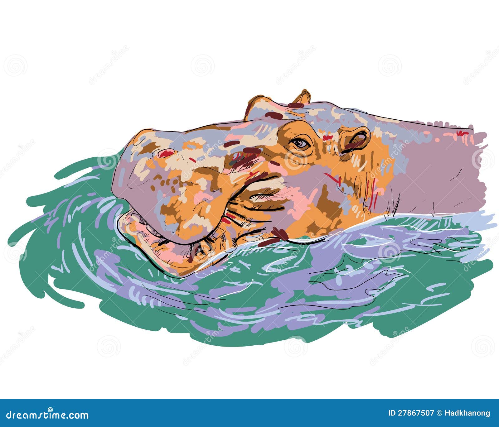 Hippopotamus Amphibious Vector Drawing Isolated White Background ...