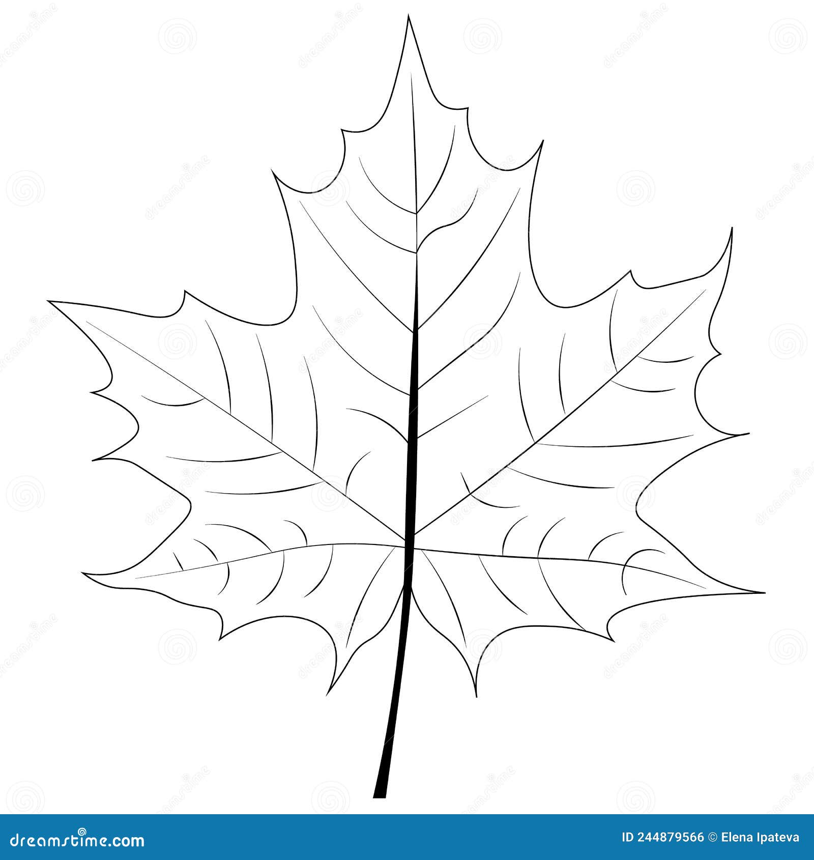 Vector Hoja De Arce Negro Y Blanco Ilustración del Vector - Ilustración ...