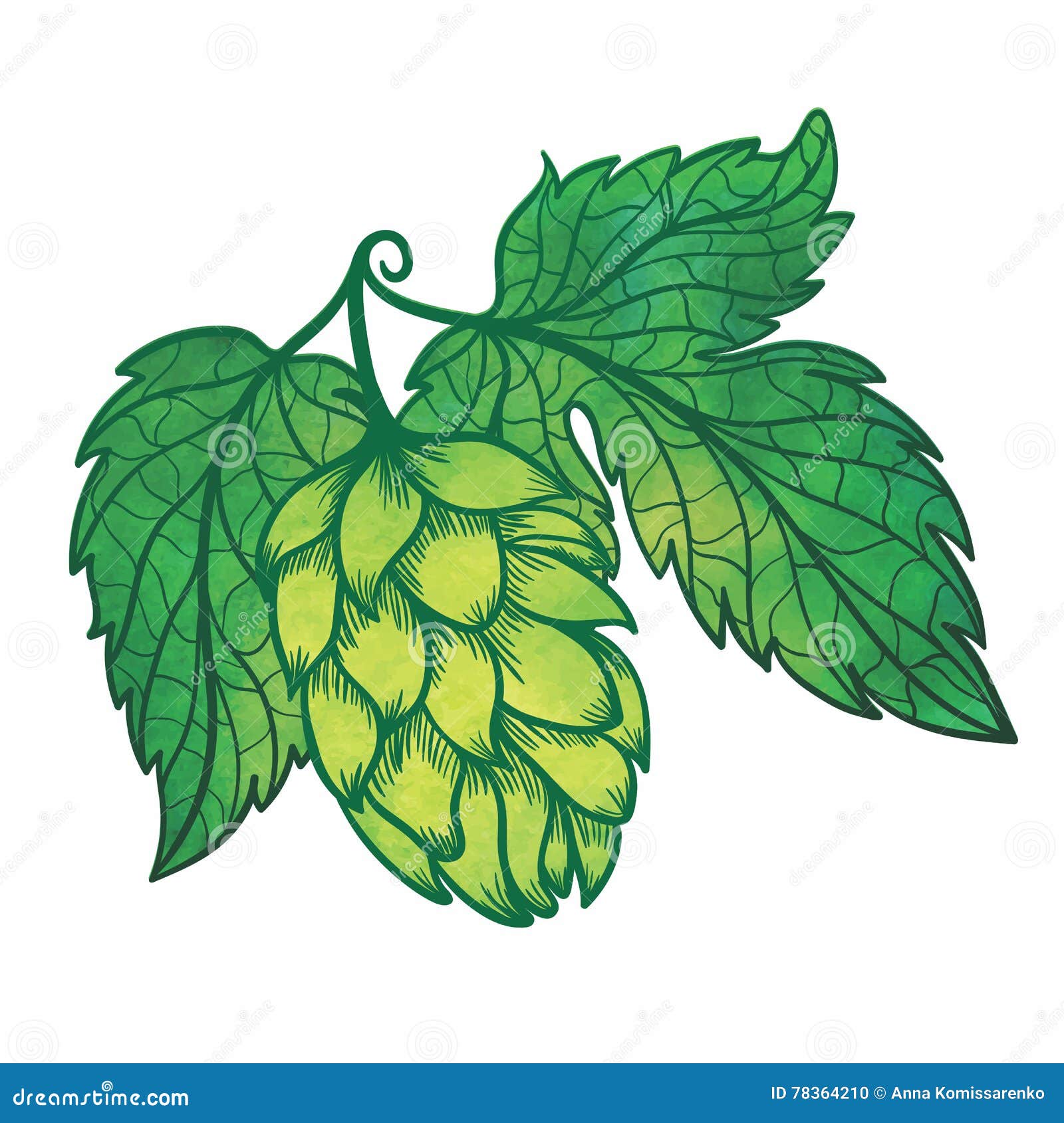 Vector Hops Icon stock vector. Illustration of creative - 78364210