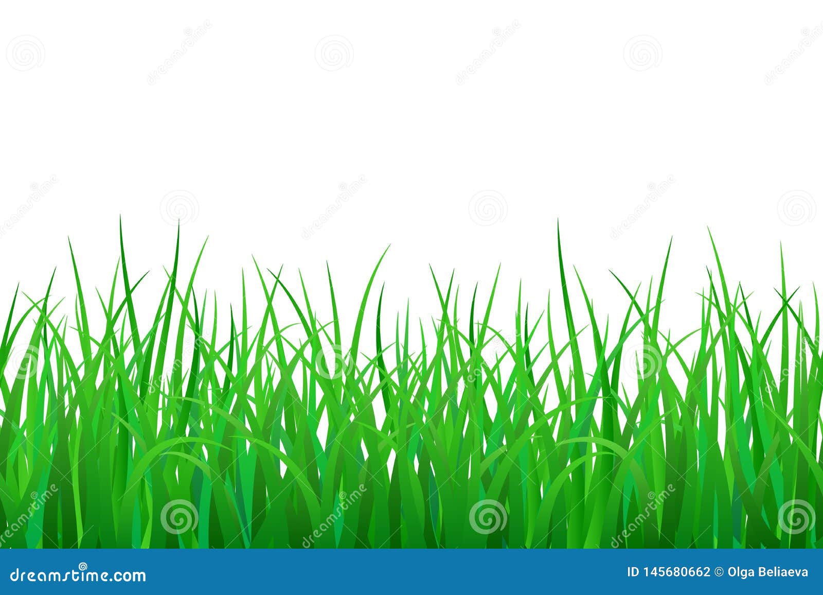 Vector Horizontal Endless Border with Green Grass Stock Vector ...