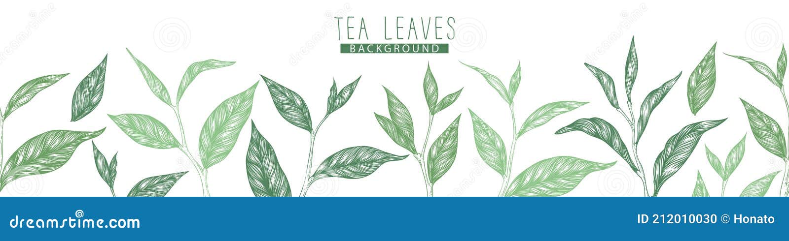 Vector Horizontal Seamless Pattern with Green Hand Drawn Tea Leaves and ...
