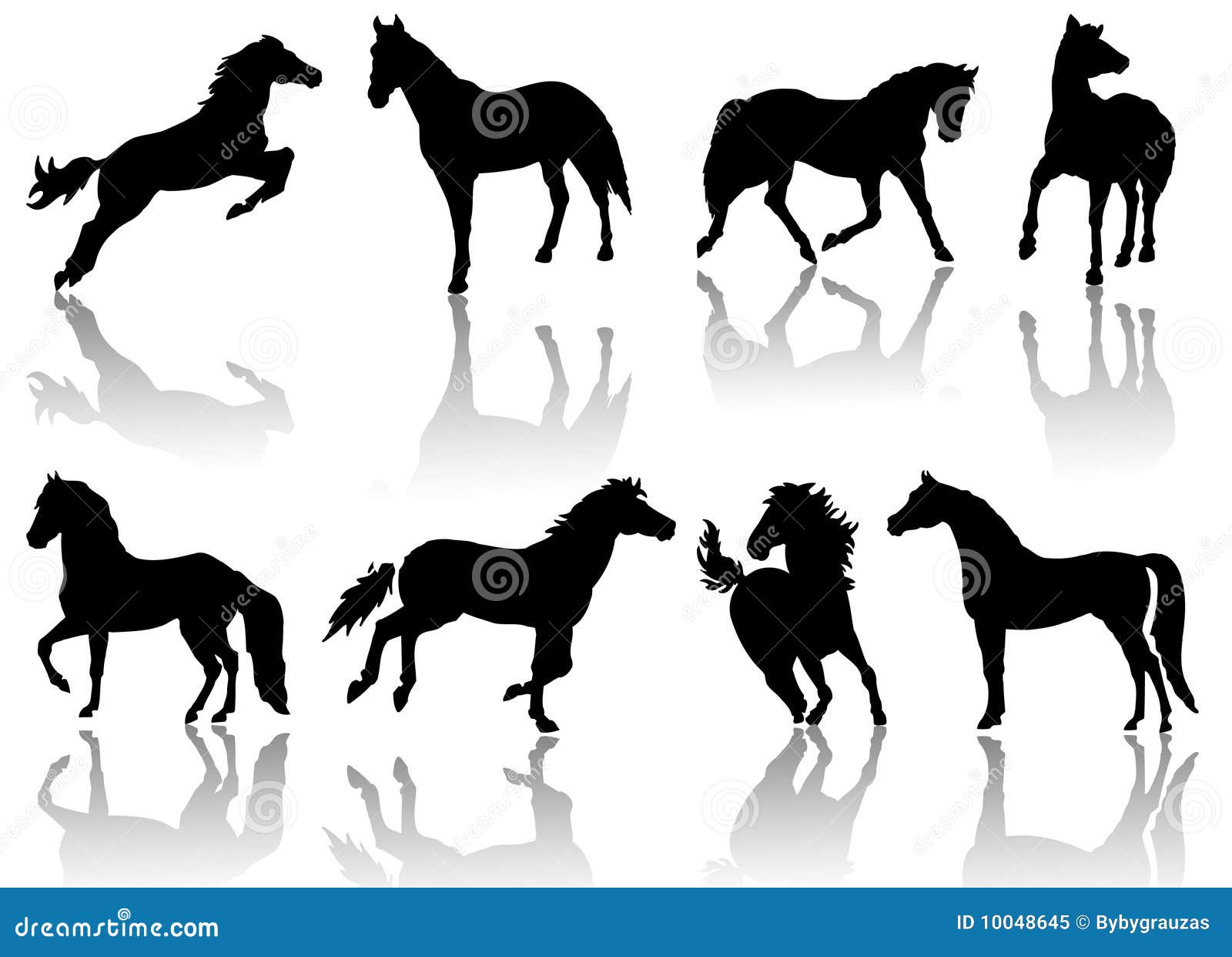 Vector Set Of Horses Isolated On White Background,graphical ...