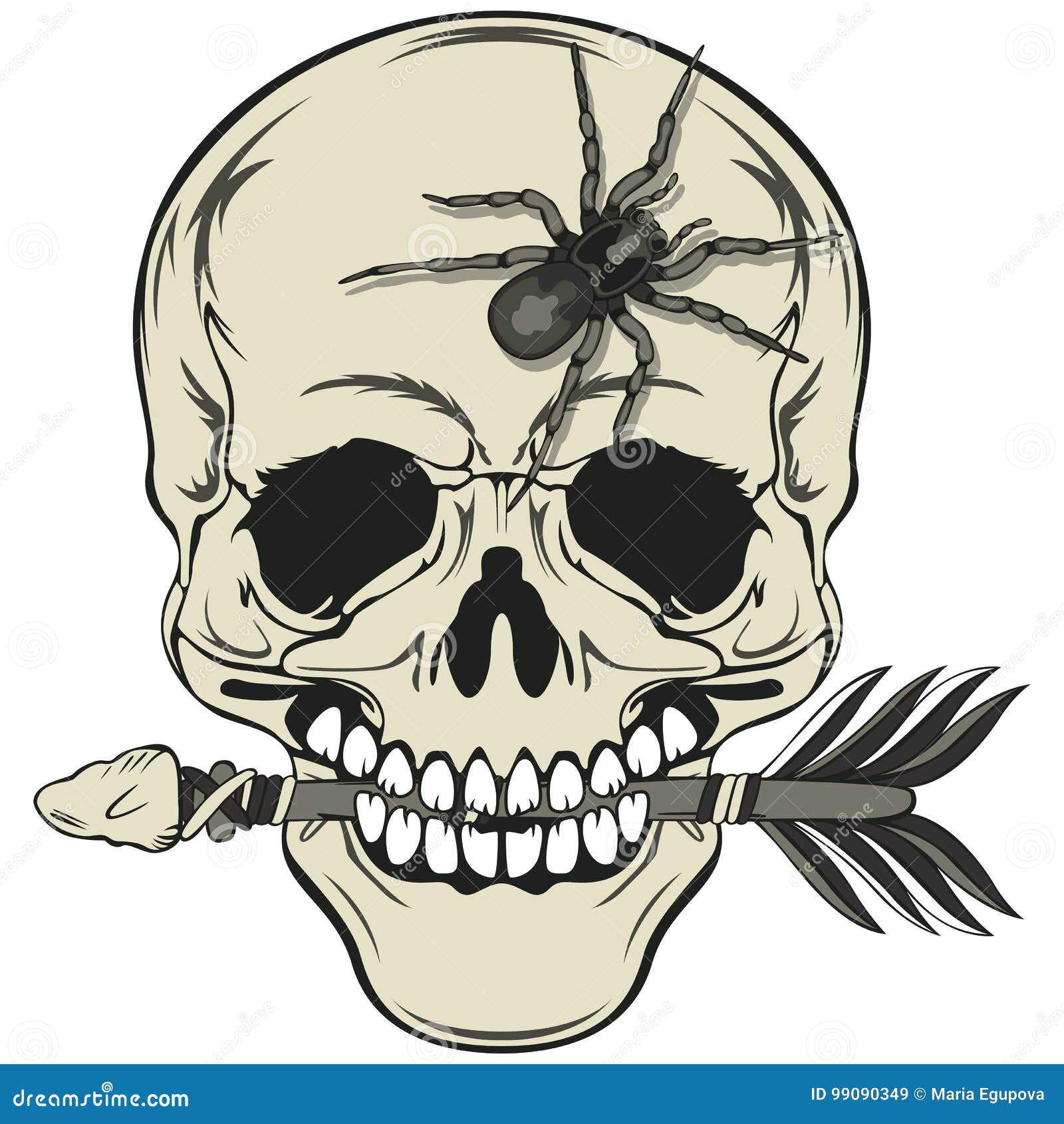 Skull with Arrow and Spider Stock Vector - Illustration of arrow ...