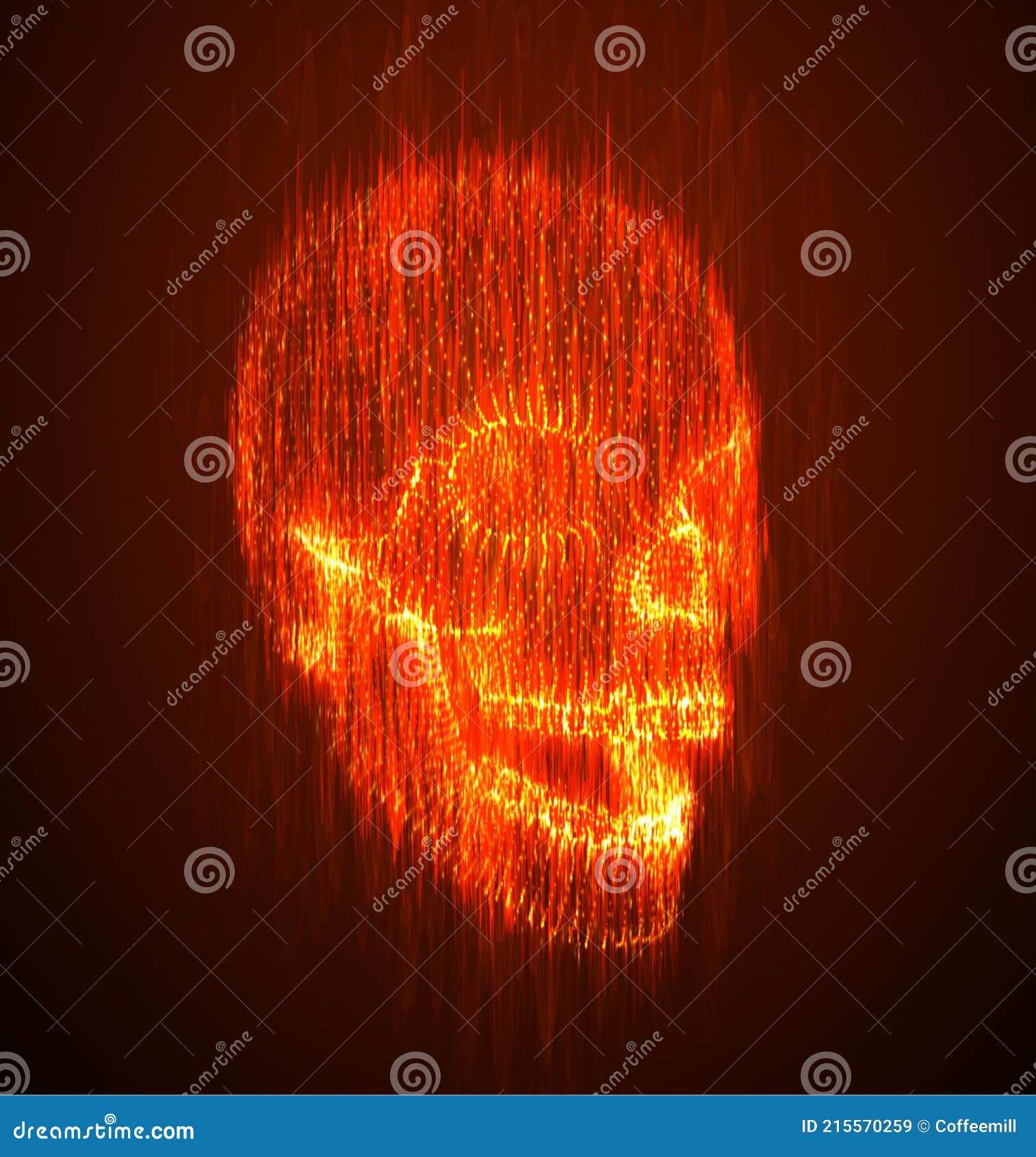 Vector. human skull stock vector. Illustration of anatomy - 215570259
