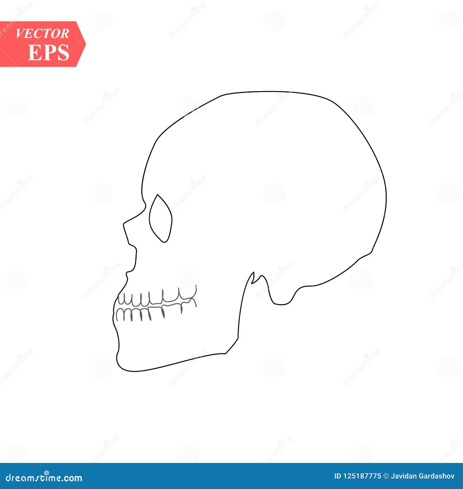 Vector Human Skull Side View Silhouette. Eps 10 Stock Illustration ...