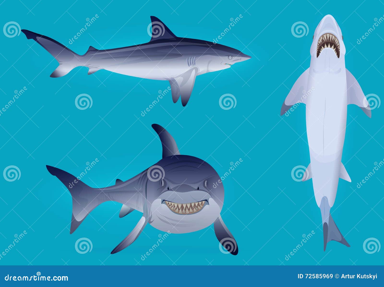 Scary Shark Working As Beach Lifeguard Vector Illustration ...