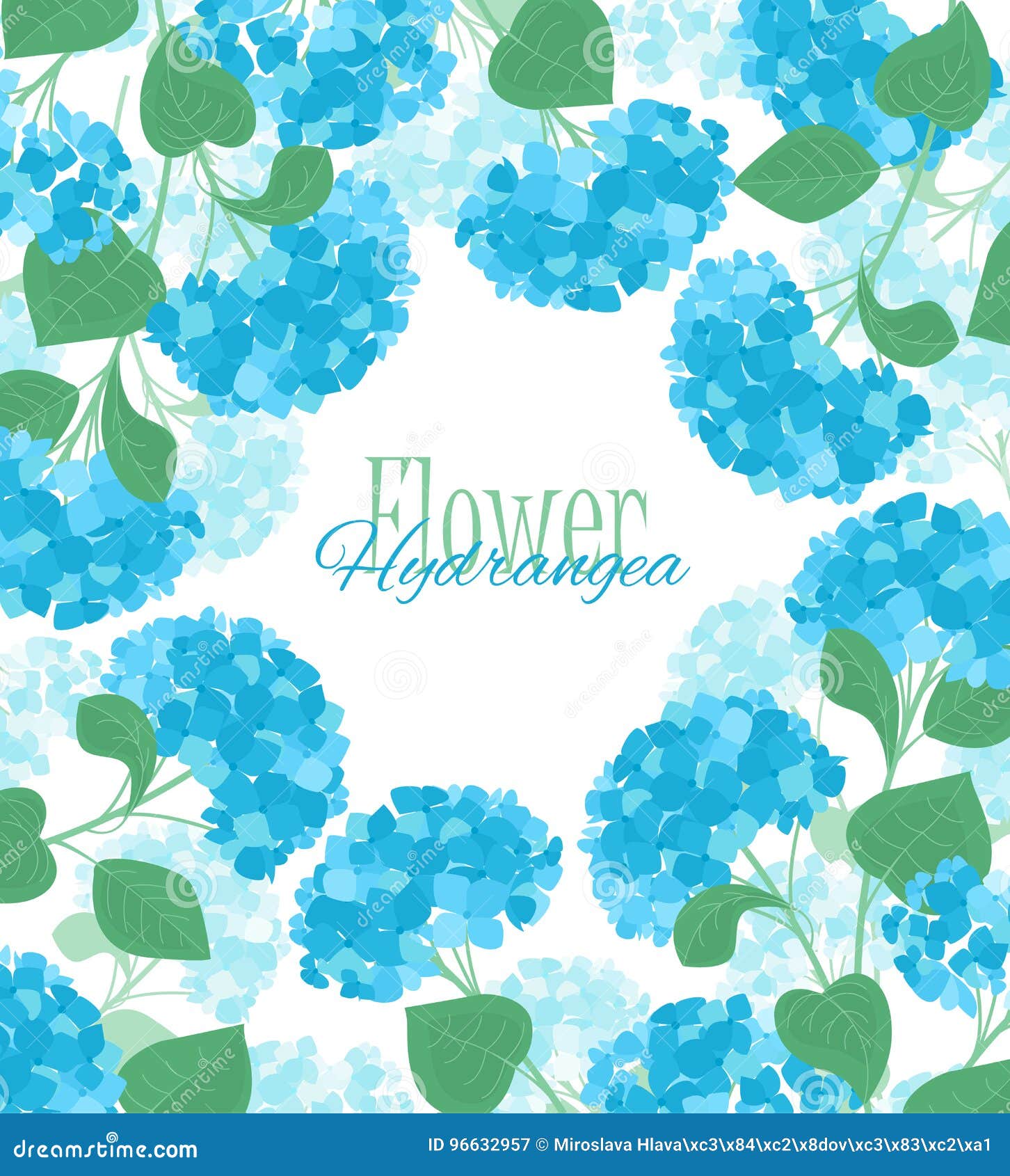 Vector hydrangea flower stock vector. Illustration of greeting - 96632957