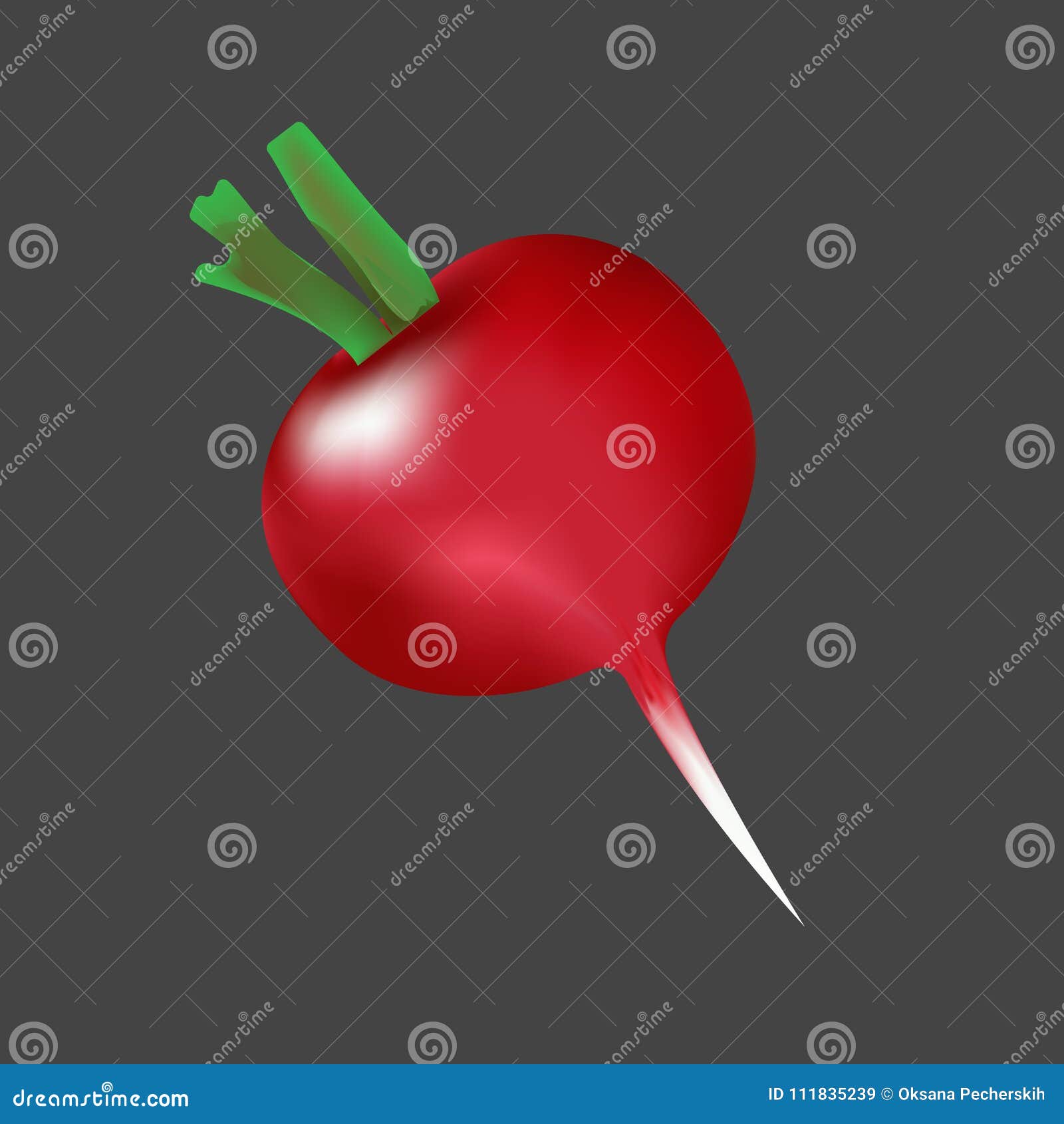 Vector icon of beetroot stock vector. Illustration of easy - 111835239