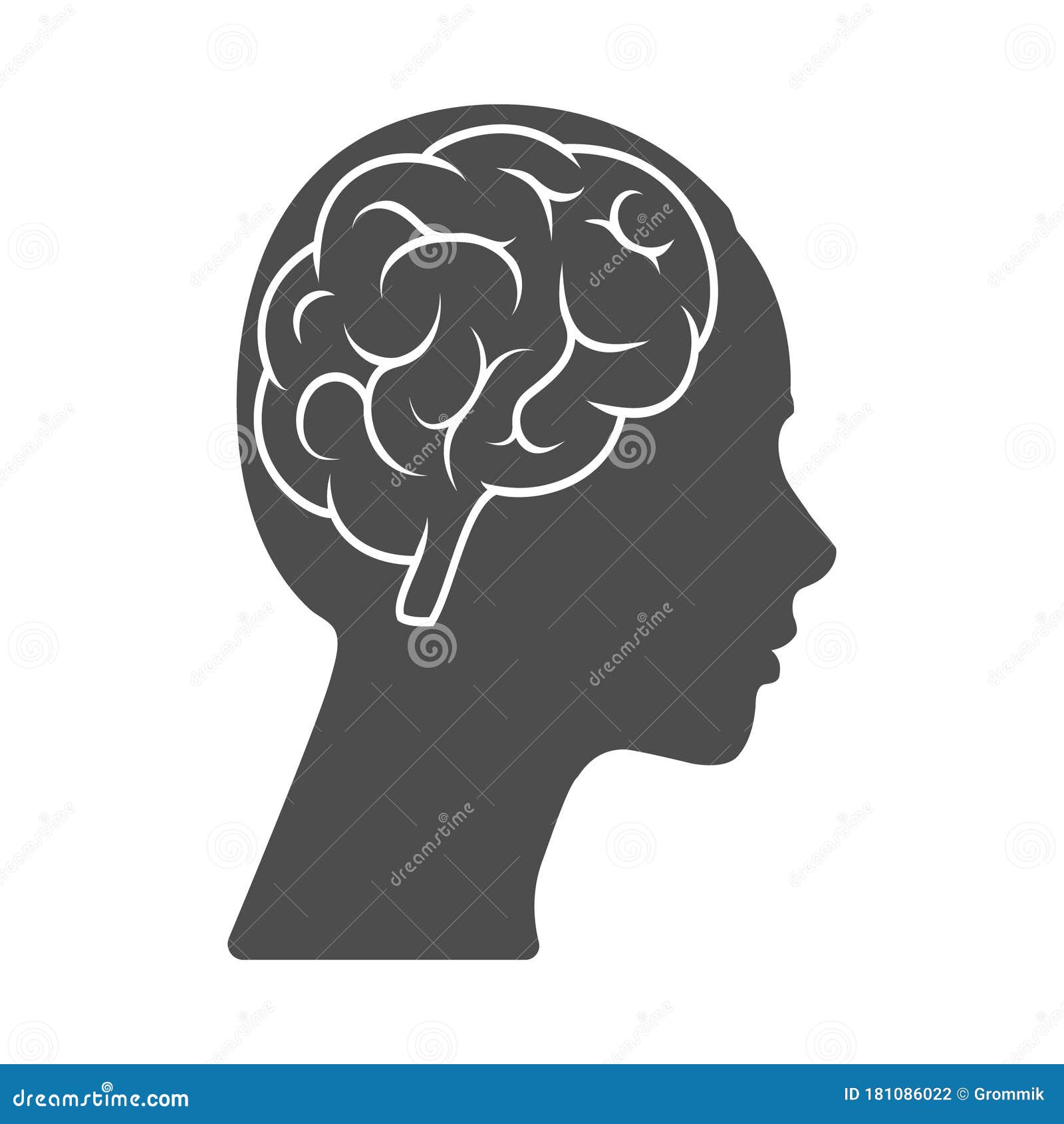 Vector Icon of a Female Head with a Brain. the Silhouette is Isolated ...