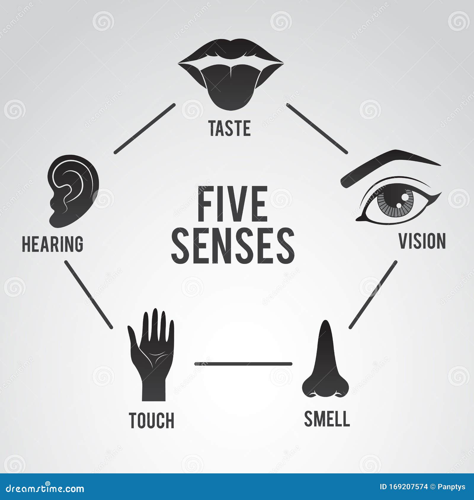 Five Senses Vector Icon on White. Stock Vector - Illustration of line ...