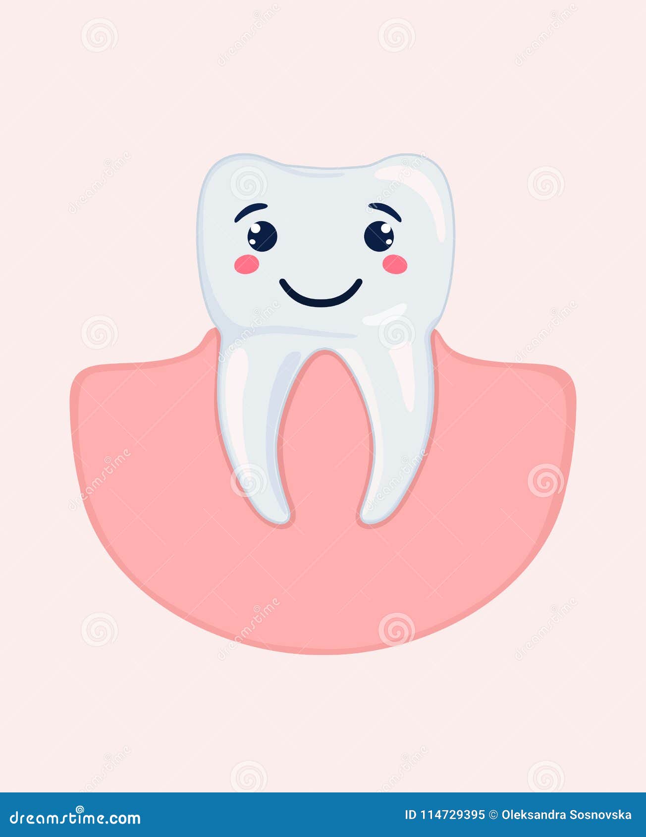 Healthy Appearance of Stylized Molars. Vector Illustration. Stock ...