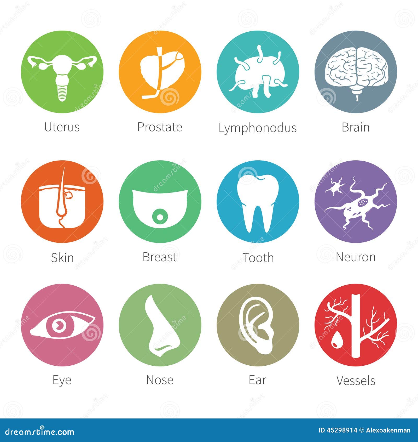 Vector Icon Set Of Human Internal And External Organs In Flat Style