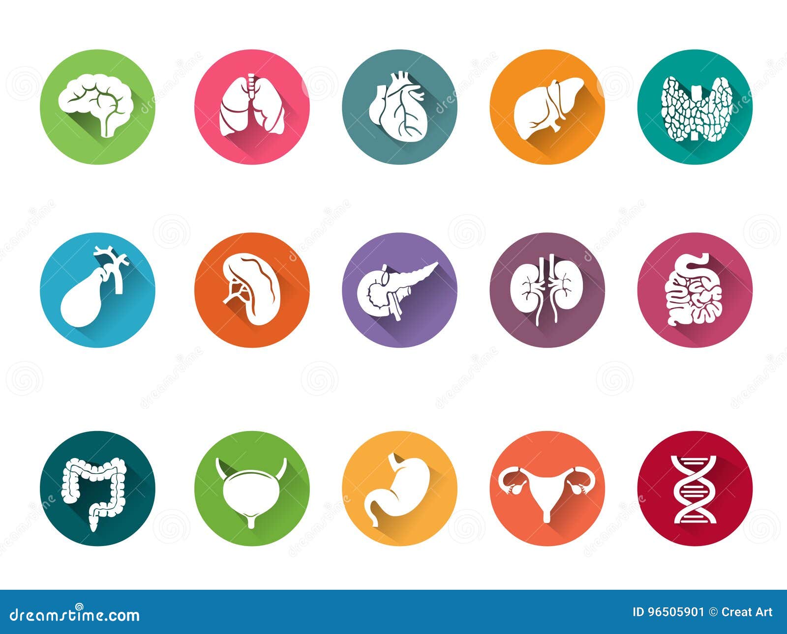 Vector Icon Set of Human Internal Organs Stock Vector - Illustration of ... Vector Icon Set of Human Internal Organs Stock Vector - Illustration of ...