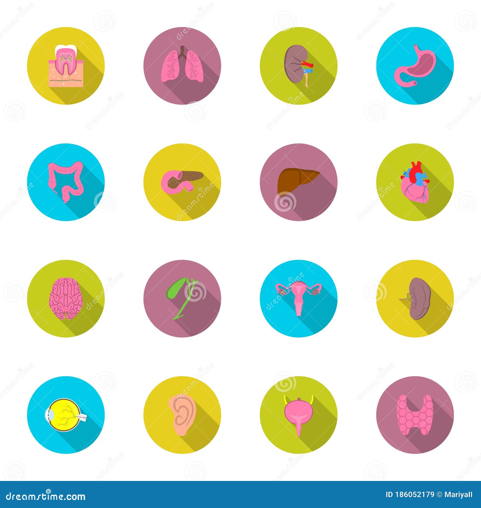 Vector Icon Set Of Human Organs In Flat Style With Shadow Stock Vector