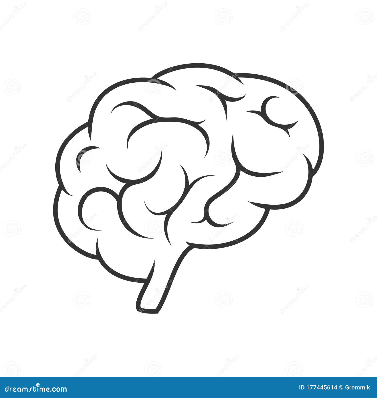 Brain Outline