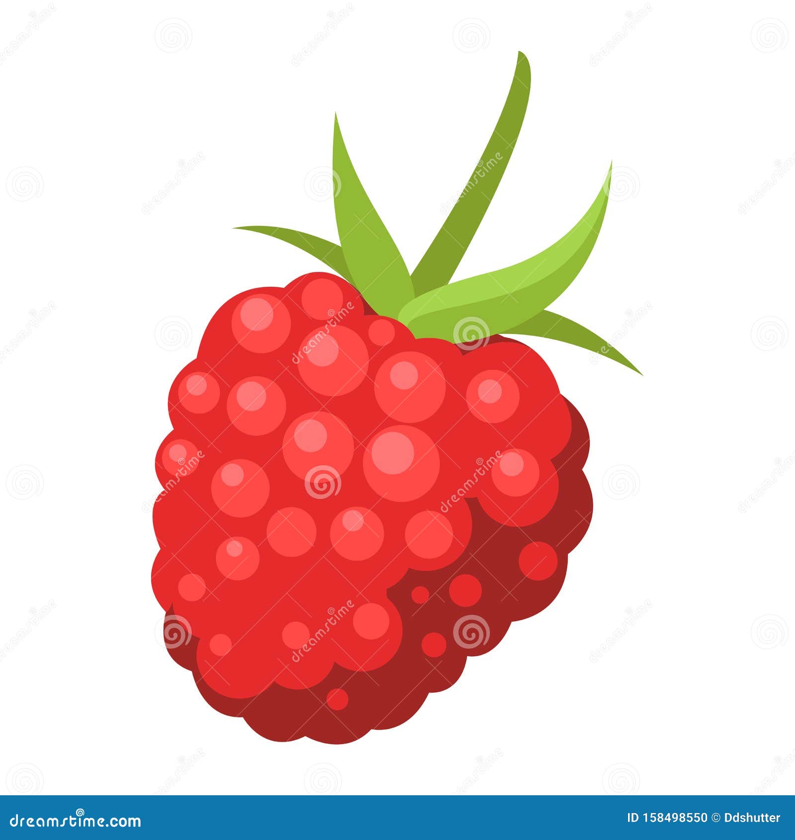 Raspberry Illustration. Vector Icon of Single Ripe Fresh Raspberry ...