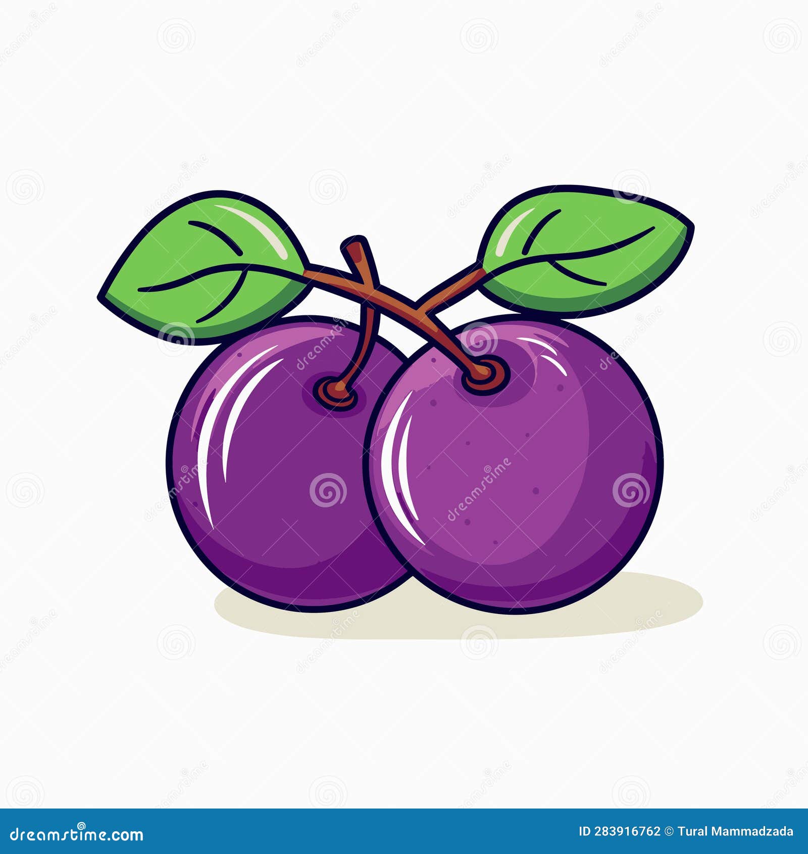 Vector Icon of Two Plums with Green Leaves on a White Background Stock ...