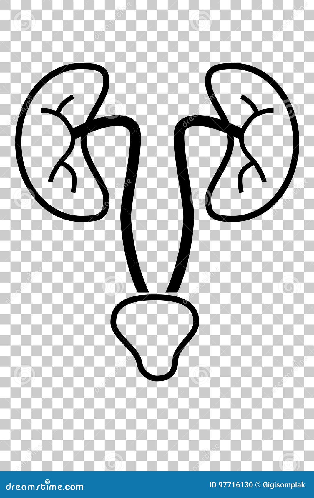Icon : Ureter, at Transparent Effect Background Stock Vector ...