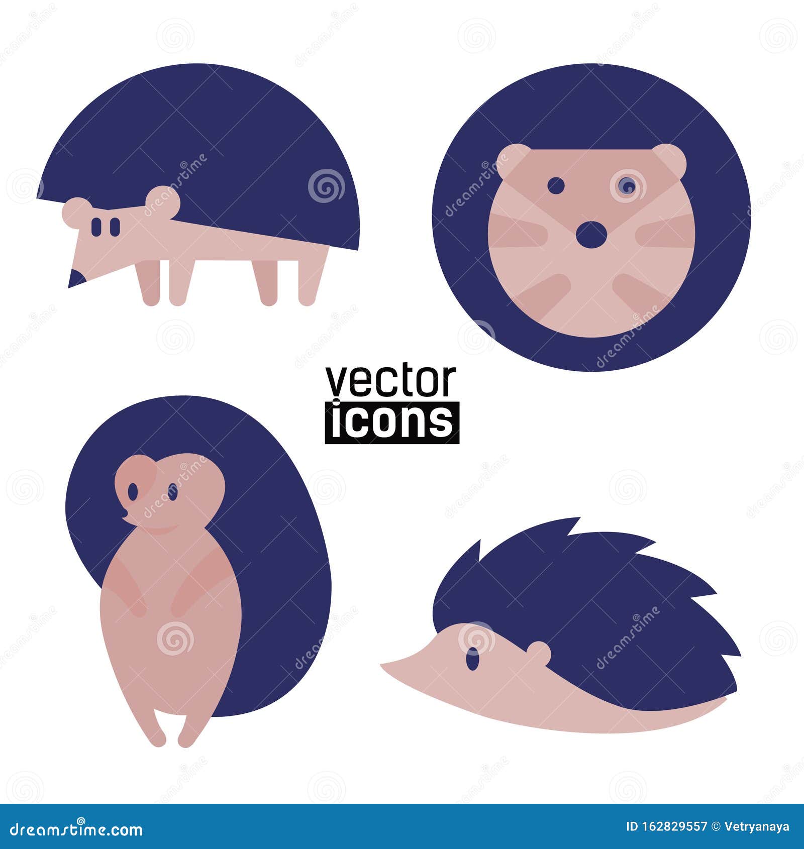 Vector Icons of Hedgehogs on White Background Stock Illustration ...