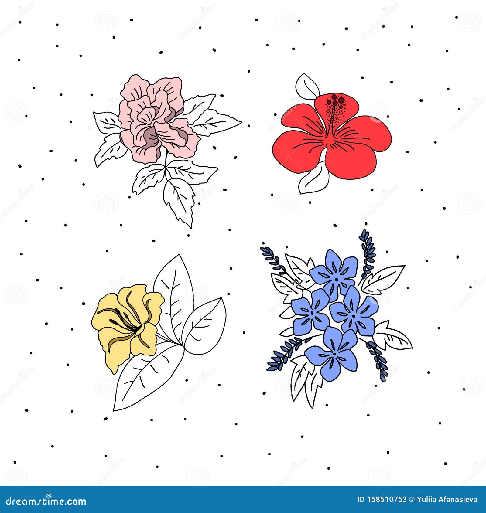 Vector Illustration with Four Flouwers Stock Vector - Illustration of ...