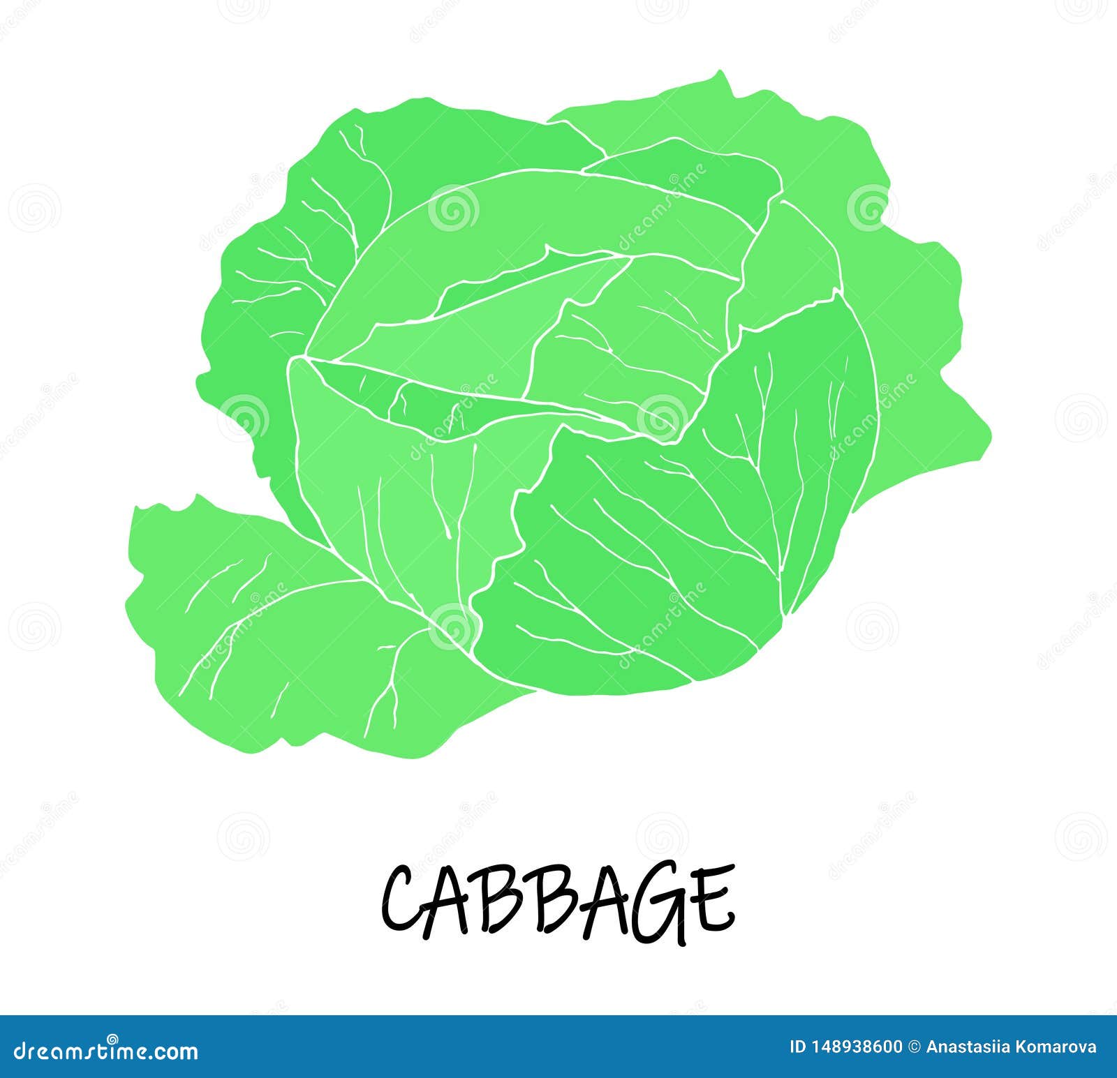 Vector Illstration of Cabbage. Green Silhouette Stock Vector ...