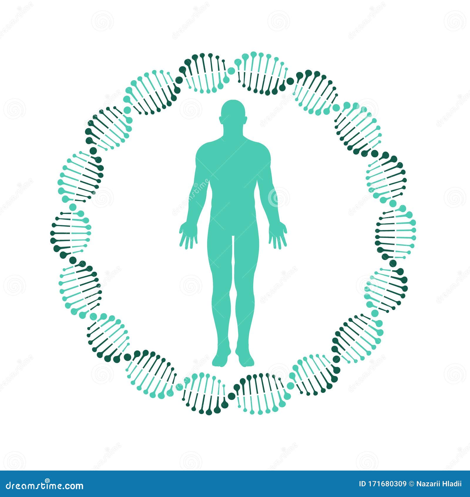 Vector Illstration of Dna and Human Body. Flat Design. Isolated. Stock ...