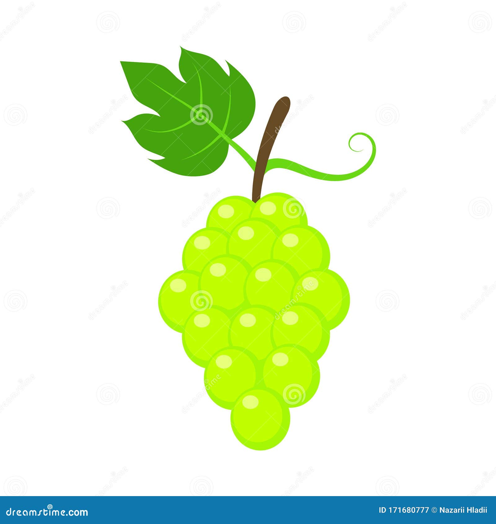 Vector Illstration of Green Grape Icon. Flat Design. Isolated. Stock ...