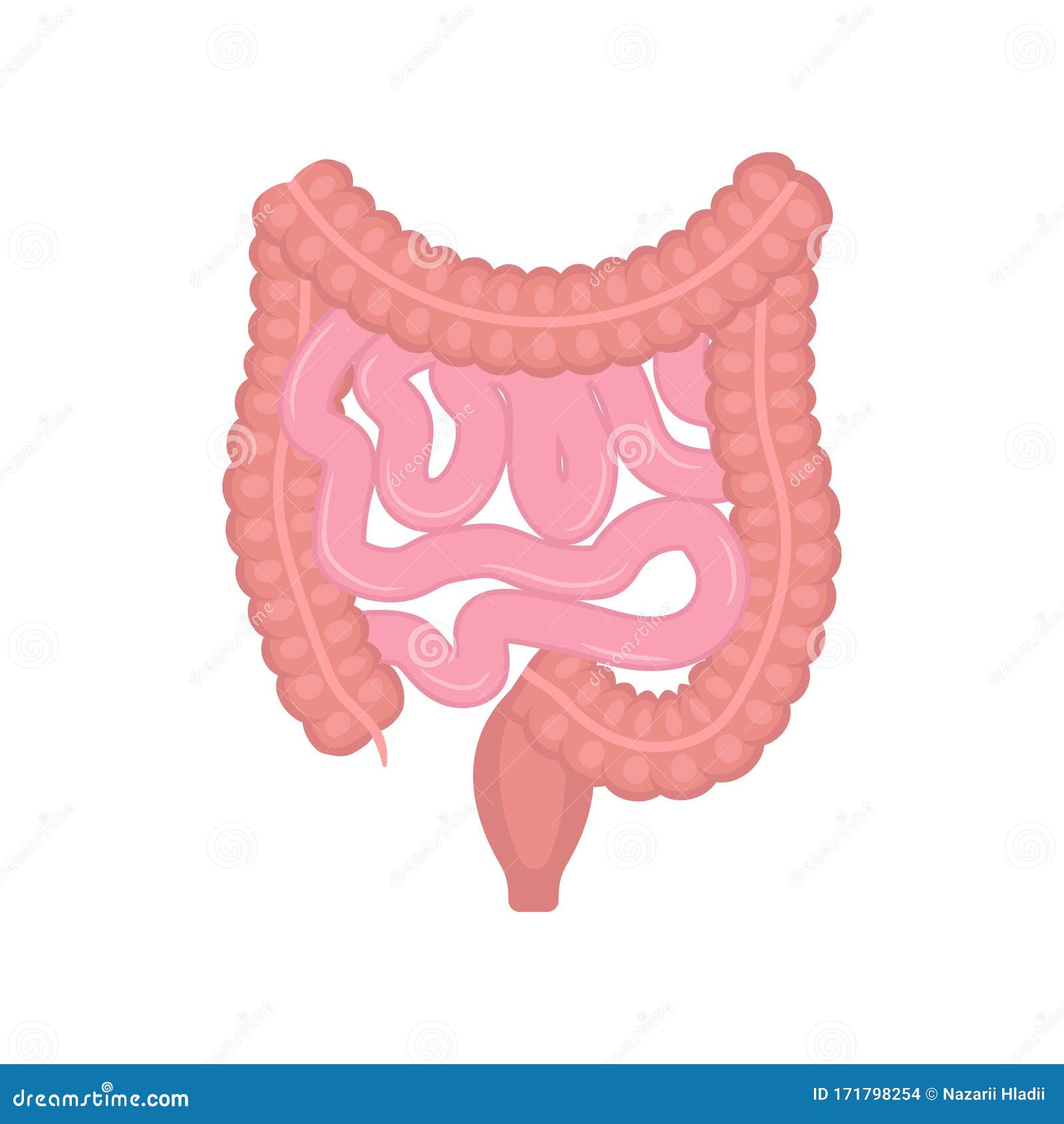 Vector Illstration of Intensine. Flat Design. Isolated. Stock Vector ...