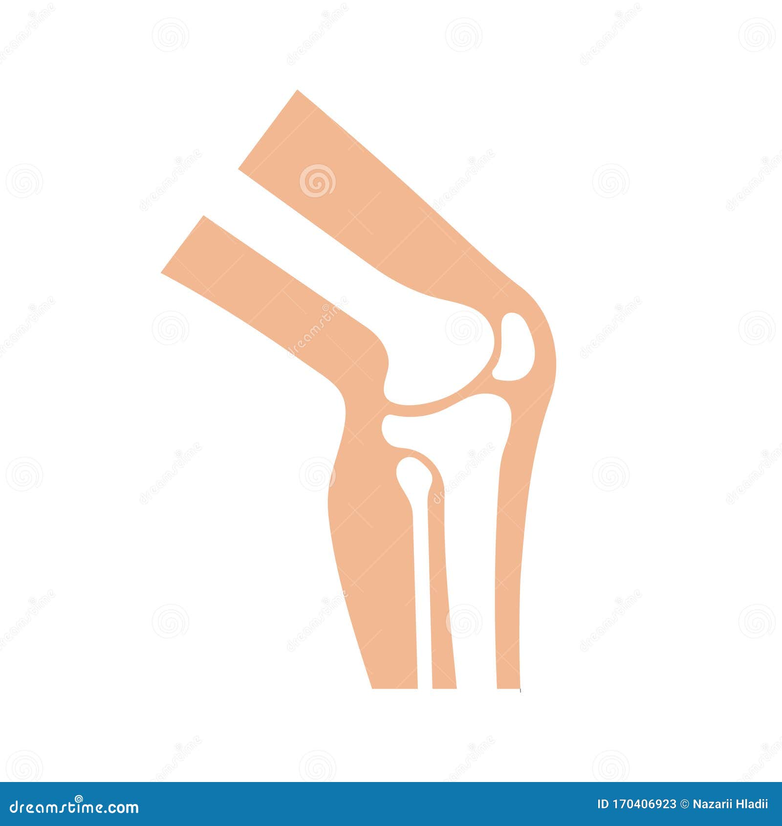 Vector Illstration of Knee Icon. Flat Design. Isolated. Stock Vector ...