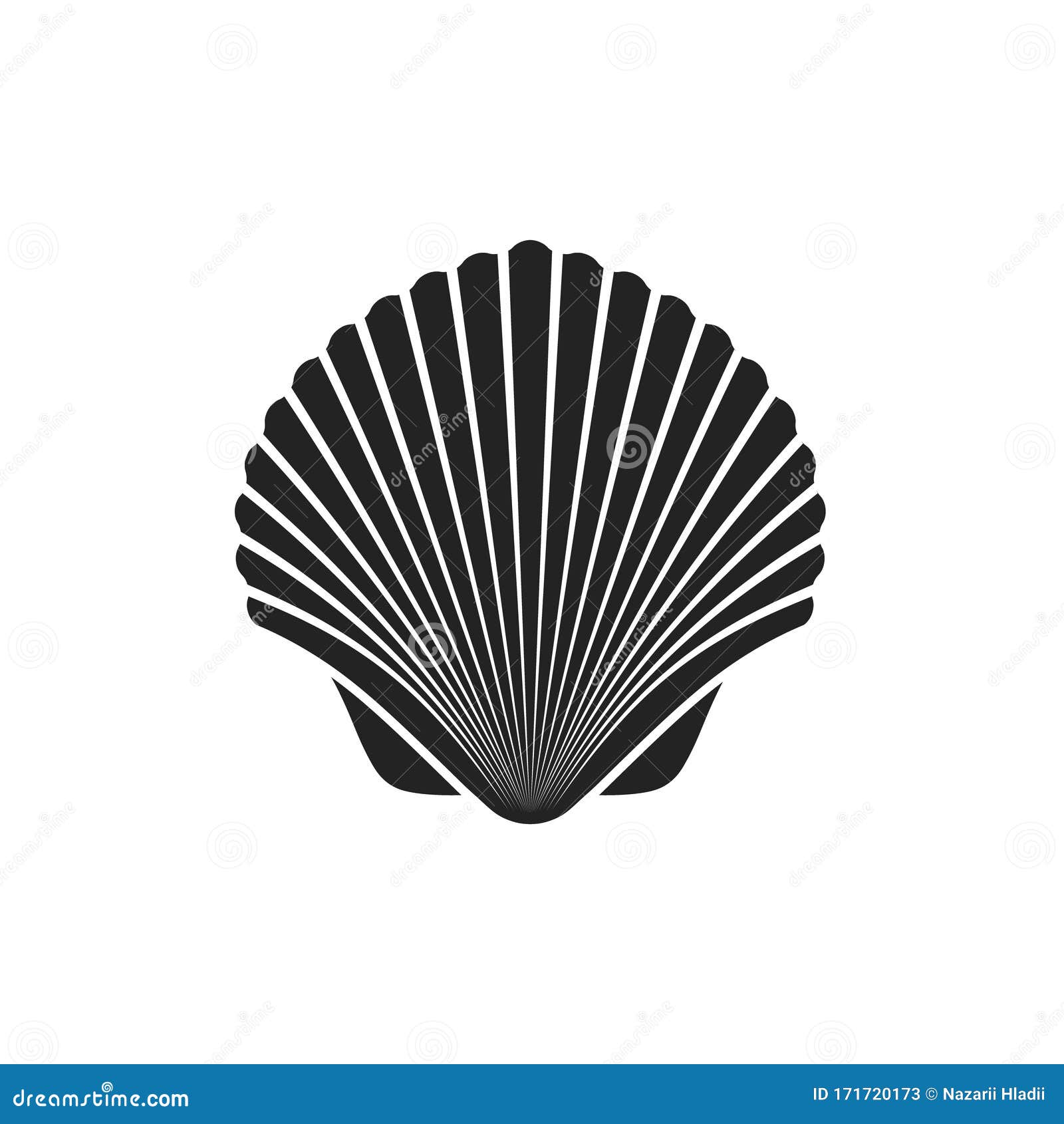 Vector Illstration of Sea Shell. Flat Design. Isolated. Stock Vector ...