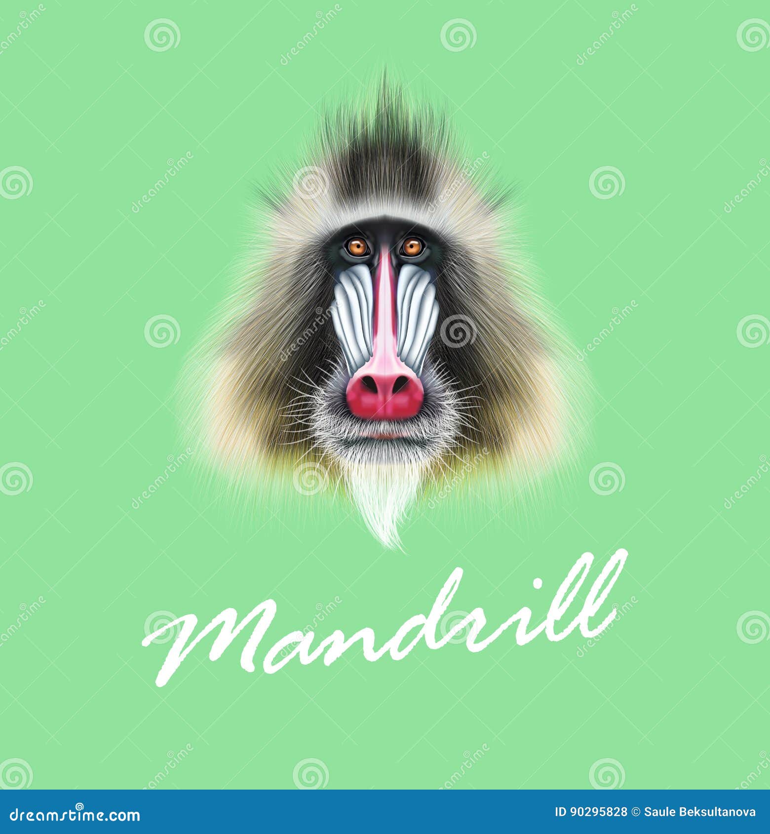 Vector Illustrated Portrait of Mandrill Monkey Stock Vector ...
