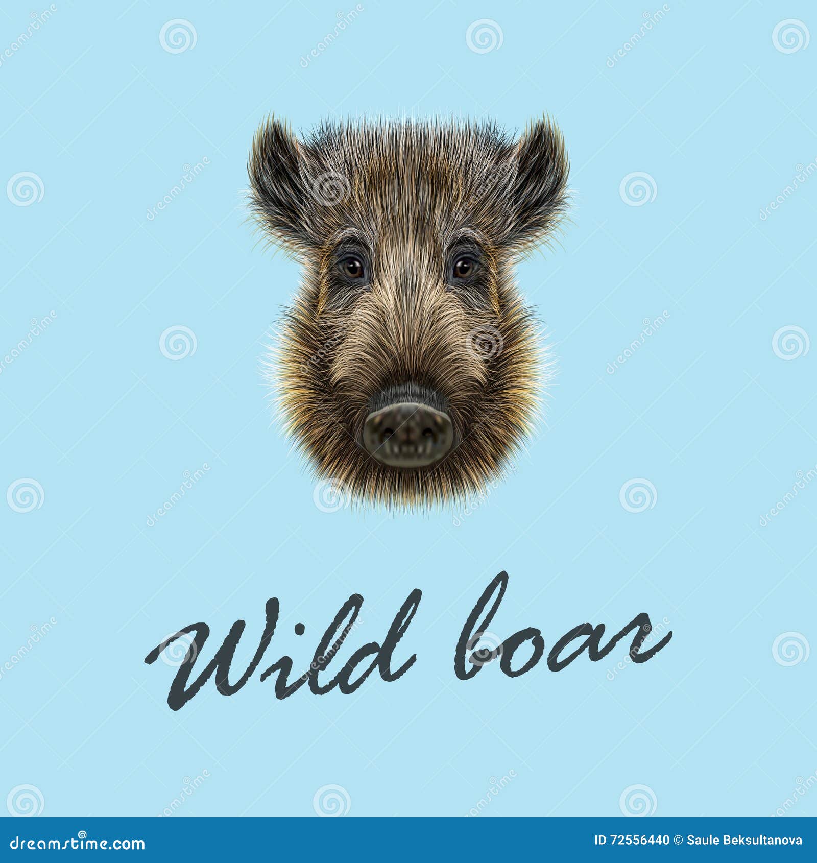 Vector Illustrated of Wild Boar. Stock Illustration - Illustration of ...