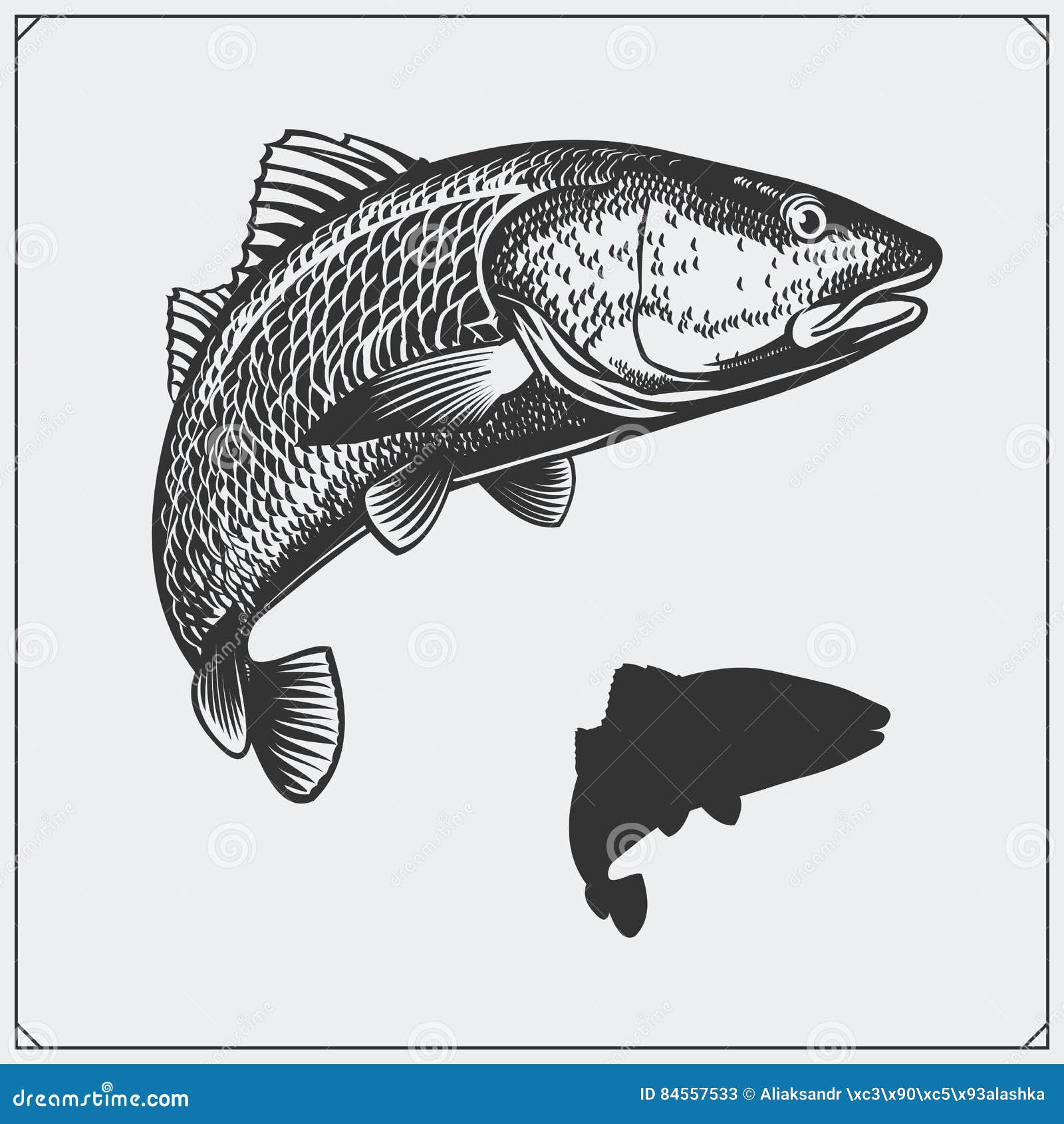 Vector Illustratie Van Een Vis Silhouet Van Vissen Vector Illustratie ...