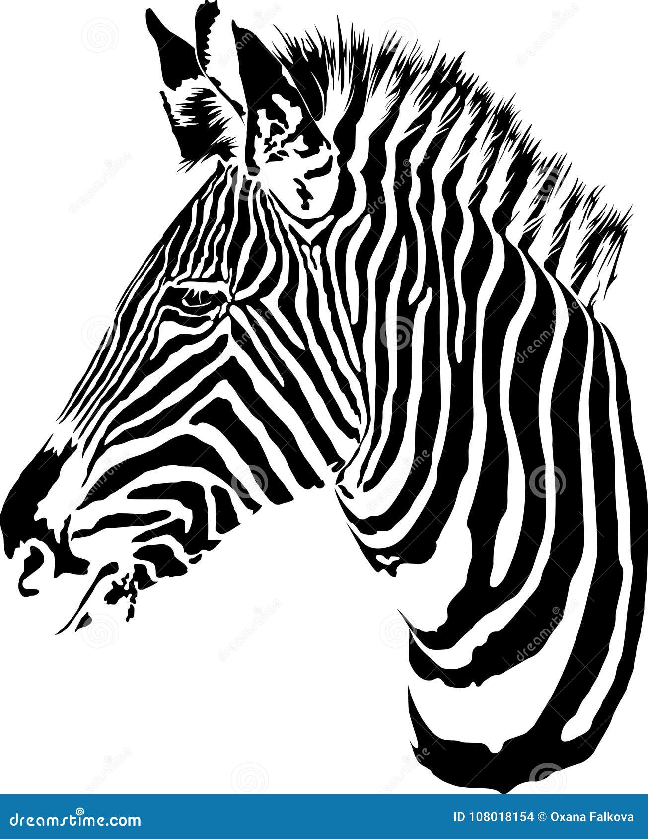 Zebra stock vector. Illustration of zebra, mammal, hide - 108018154