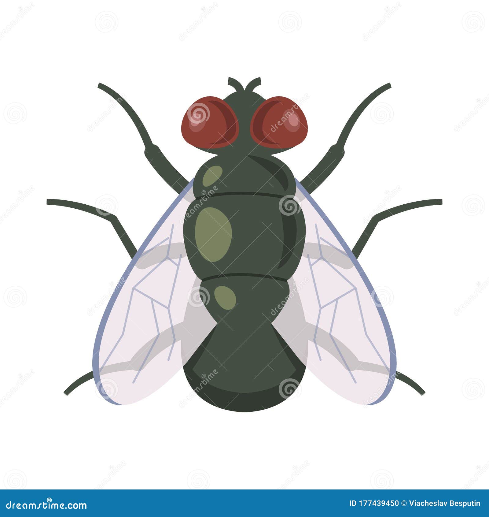 Vector Dung Icons | CartoonDealer.com #38054530