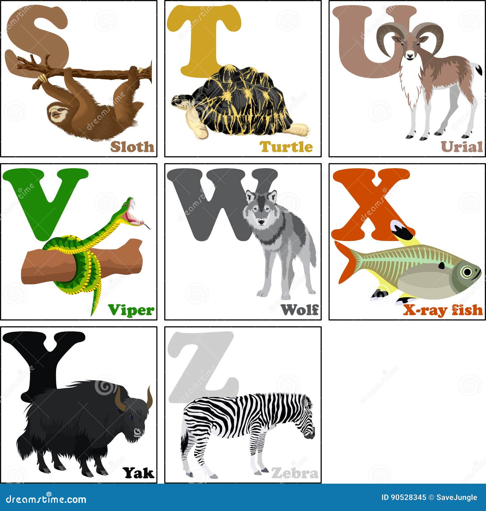 Vector Illustration of Alphabet Animals from S To Z Stock Vector ...