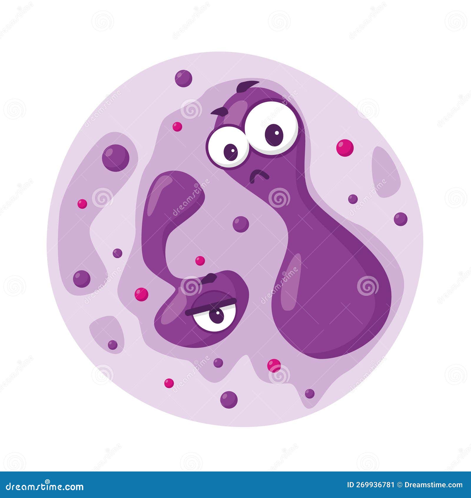 Anaplasma Bacteria Infecting Neutrophils, Causing Various Tick-borne ...