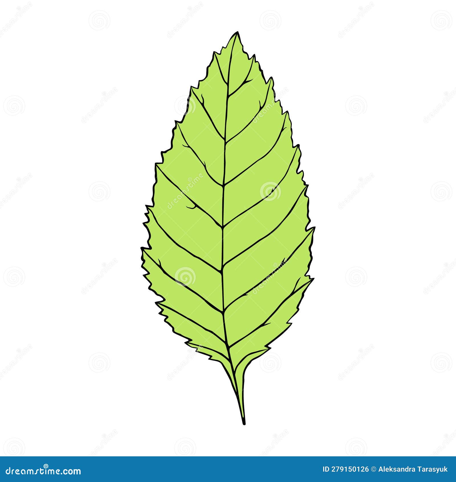 Vector Illustration of Ash Leaf in Cartoon Style. Colorful Isolated ...