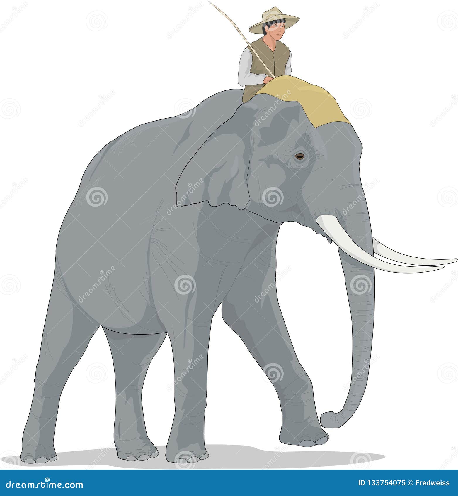 Asian Elephant Illustration, Drawing, Engraving, Ink, Line Art, Vector ...