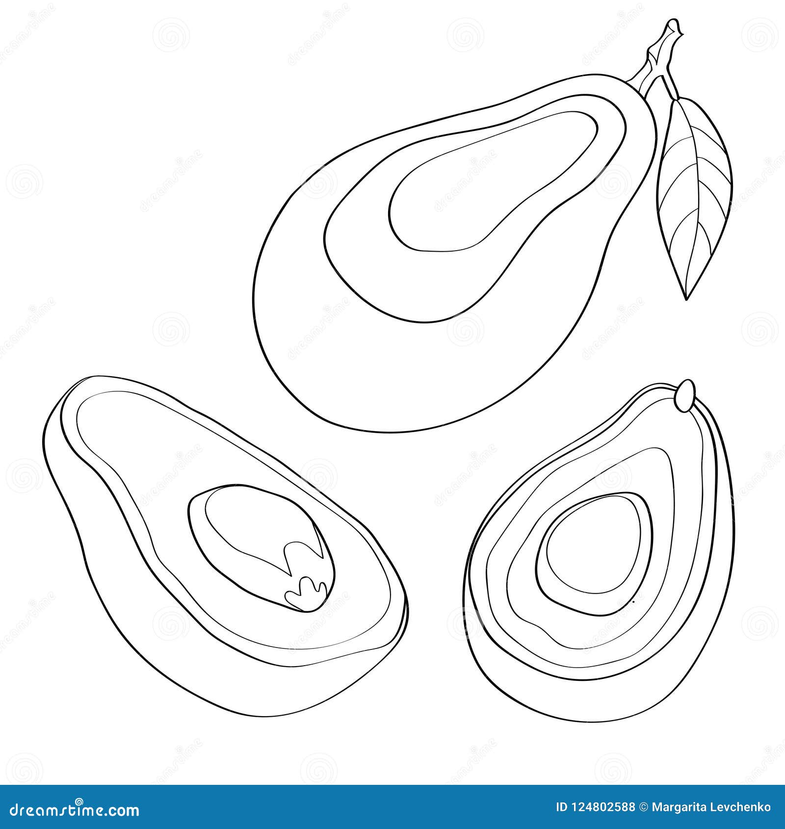 Vector Illustration. Avocado. Black Line. Stock Illustration ...
