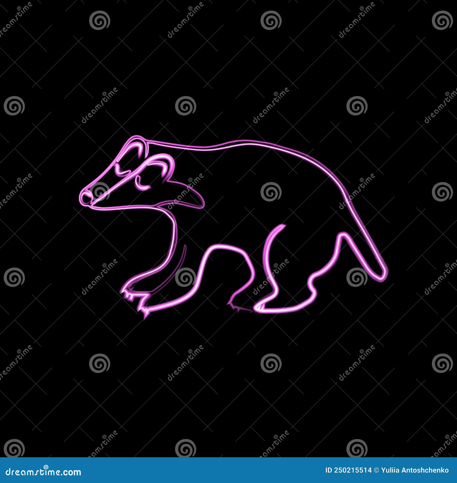 Neon Badger Animal Wild Meles Taxus Predatory Mammal Family Kunihih ...