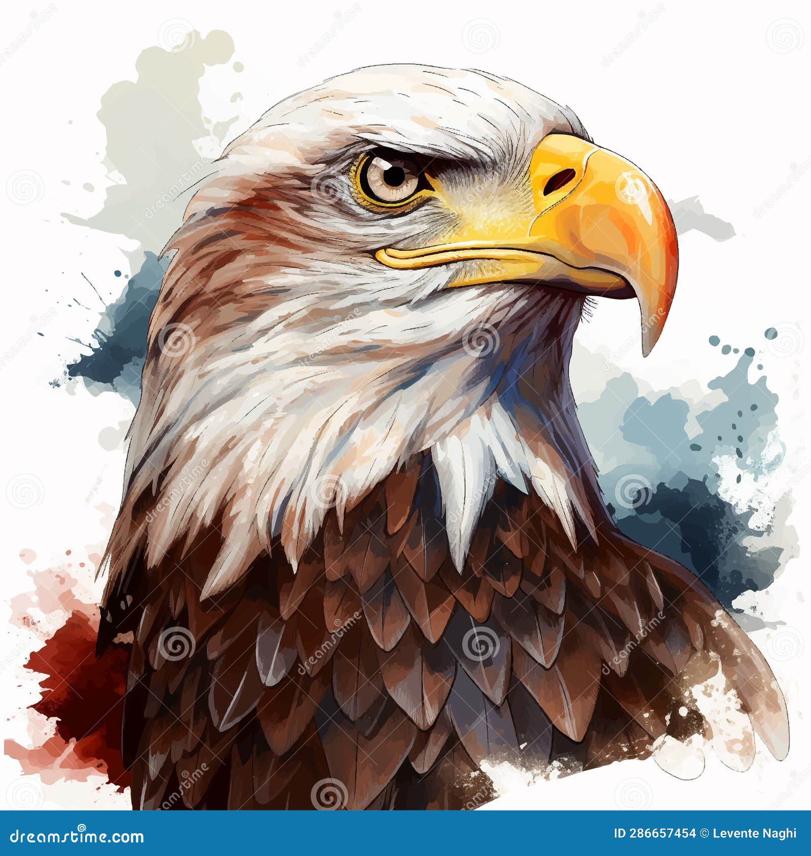 Vector Illustration of a Bald Eagle, Front View, Stock Illustration ...