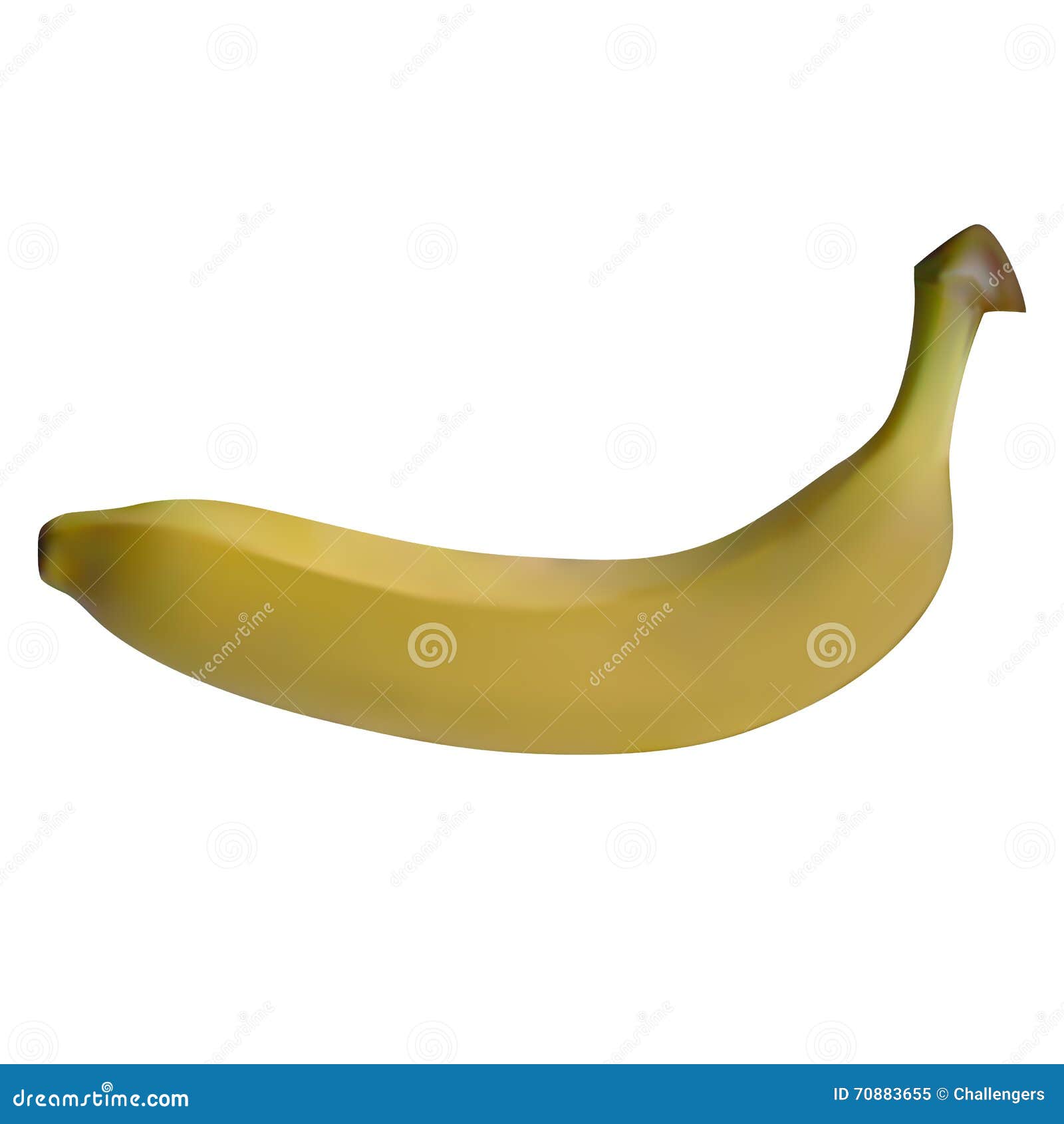 Vector Illustration of Banana Stock Vector - Illustration of vegetable ...