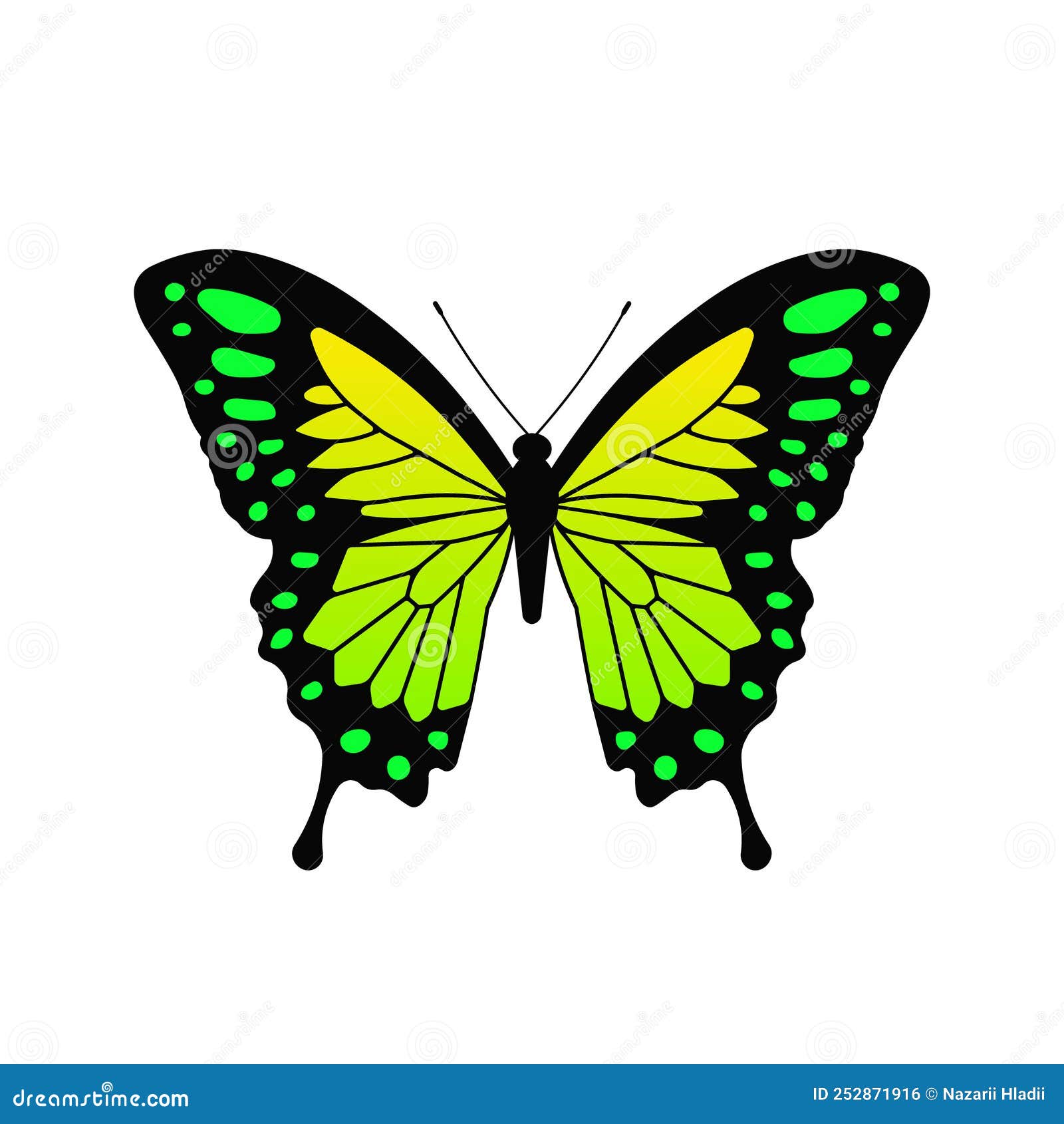 Vector Illustration of Beautiful and Bright Green Butterfly. Stock ...