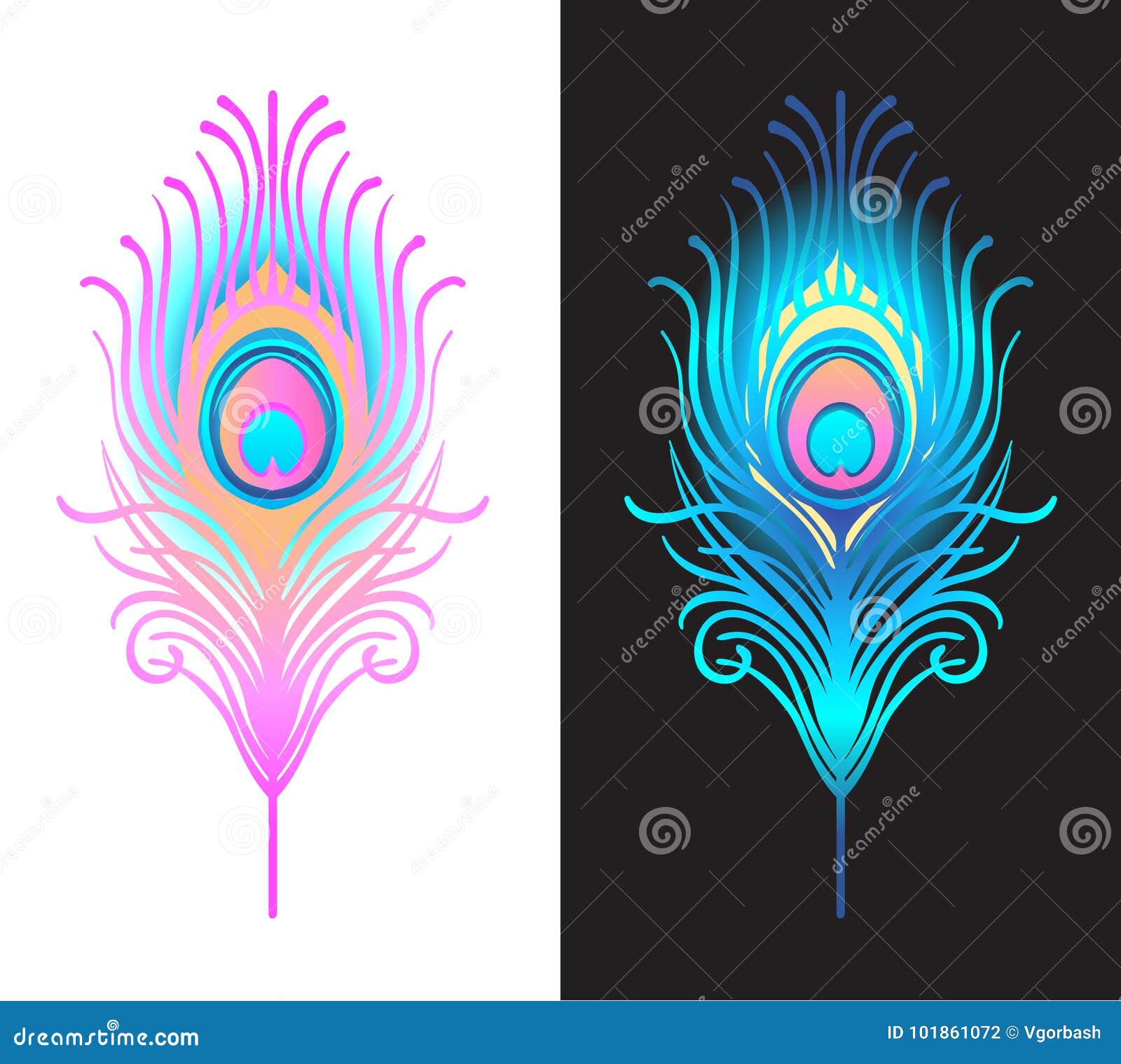 Vector Illustration Of Beautiful Peacock Feather Set Isolated On Stock