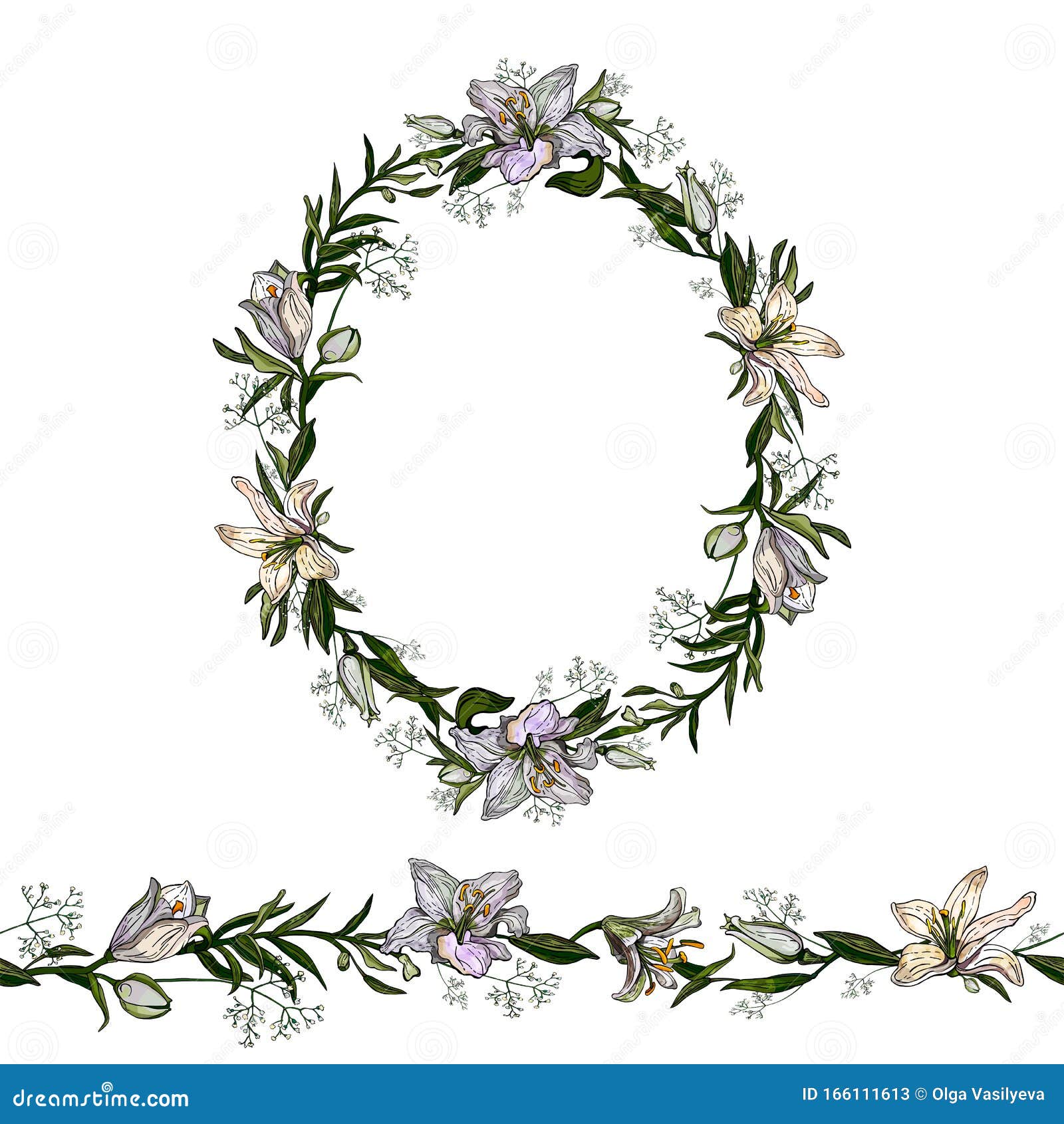 Vector Illustration Of Beautiful White Lily Oval Frame With Border ...
