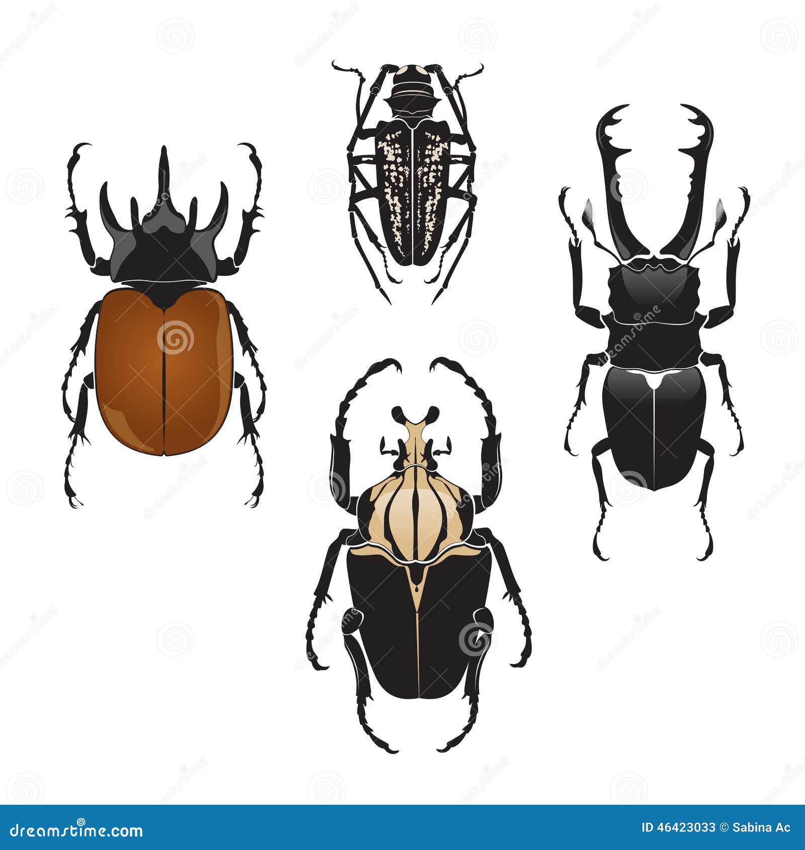 Vector Illustration Of Beetles | CartoonDealer.com #46423033
